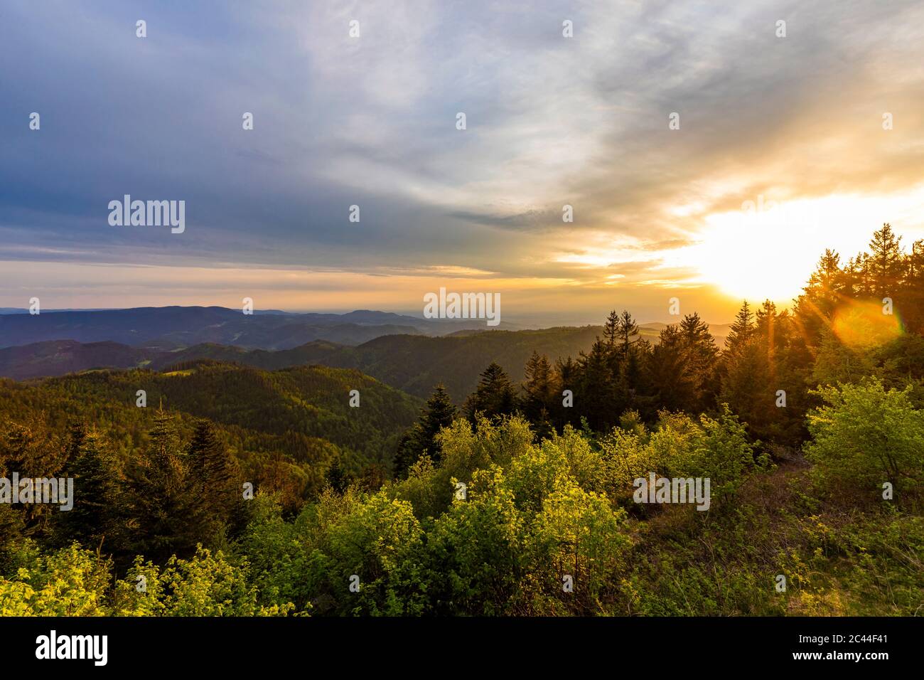 Black forest mountain range hi-res stock photography and images - Alamy