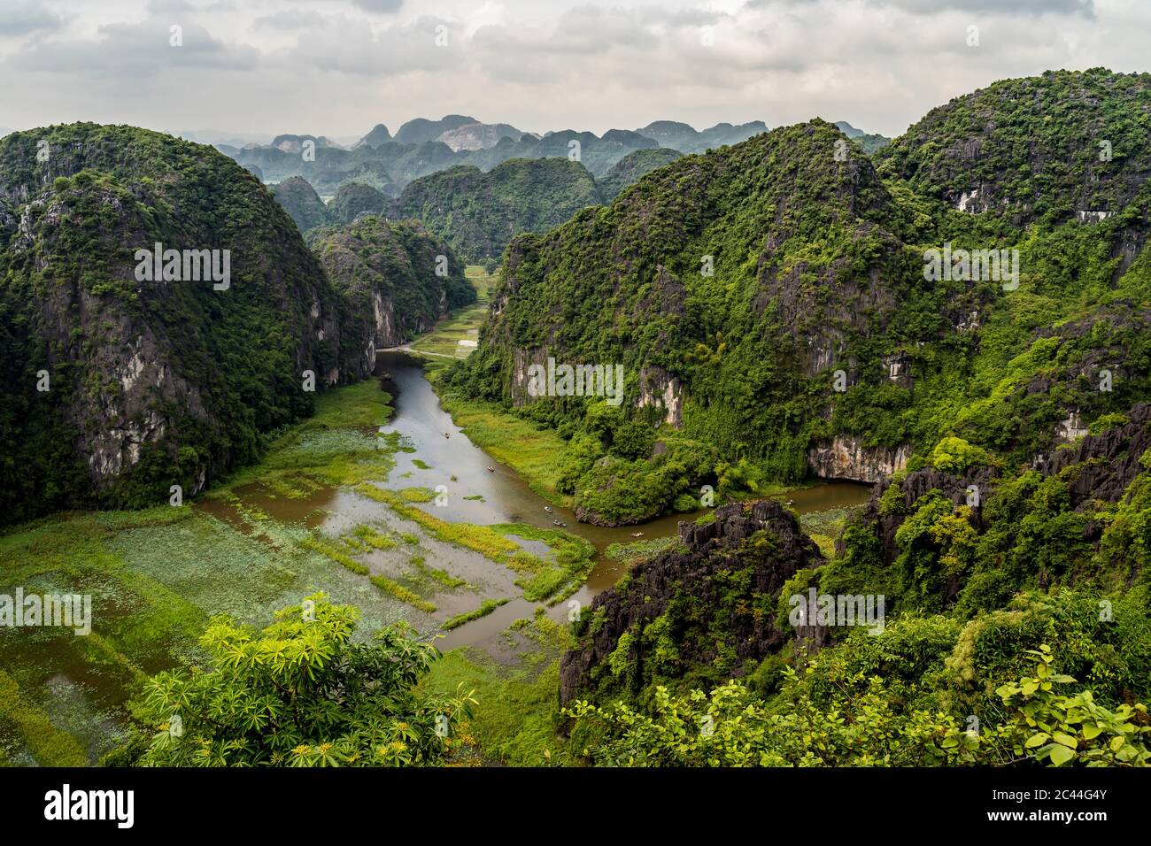 Green landscape hong river delta hi-res stock photography and images ...