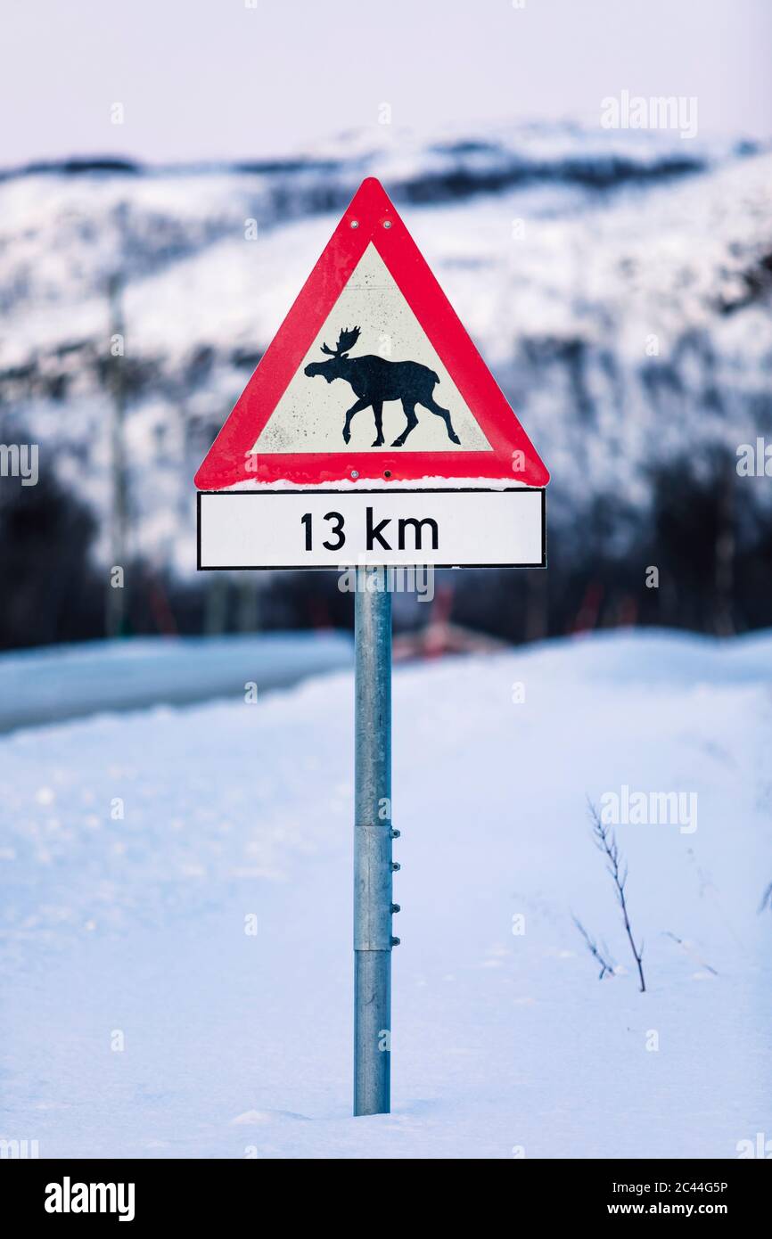 Elk crossing road sign in winter, Lebesby, Norway Stock Photo - Alamy
