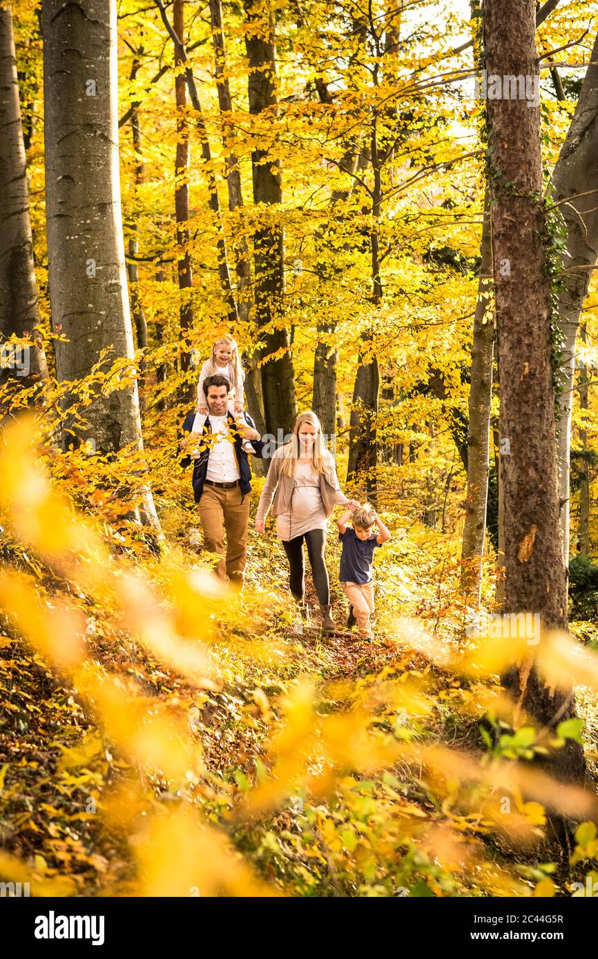 Children exploring trees hi-res stock photography and images - Alamy