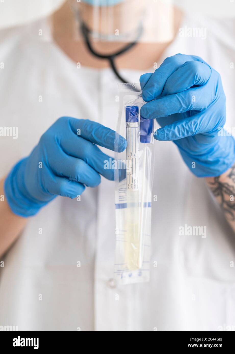 Woman hand in glove putting hi-res stock photography and images - Alamy