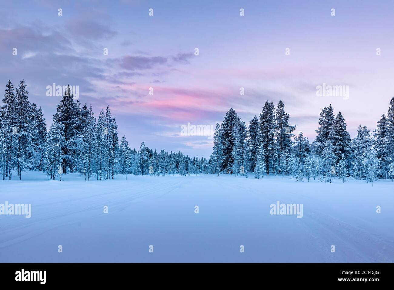 Winter landscape with trees, Hetta, Enontekioe, Finland Stock Photo - Alamy