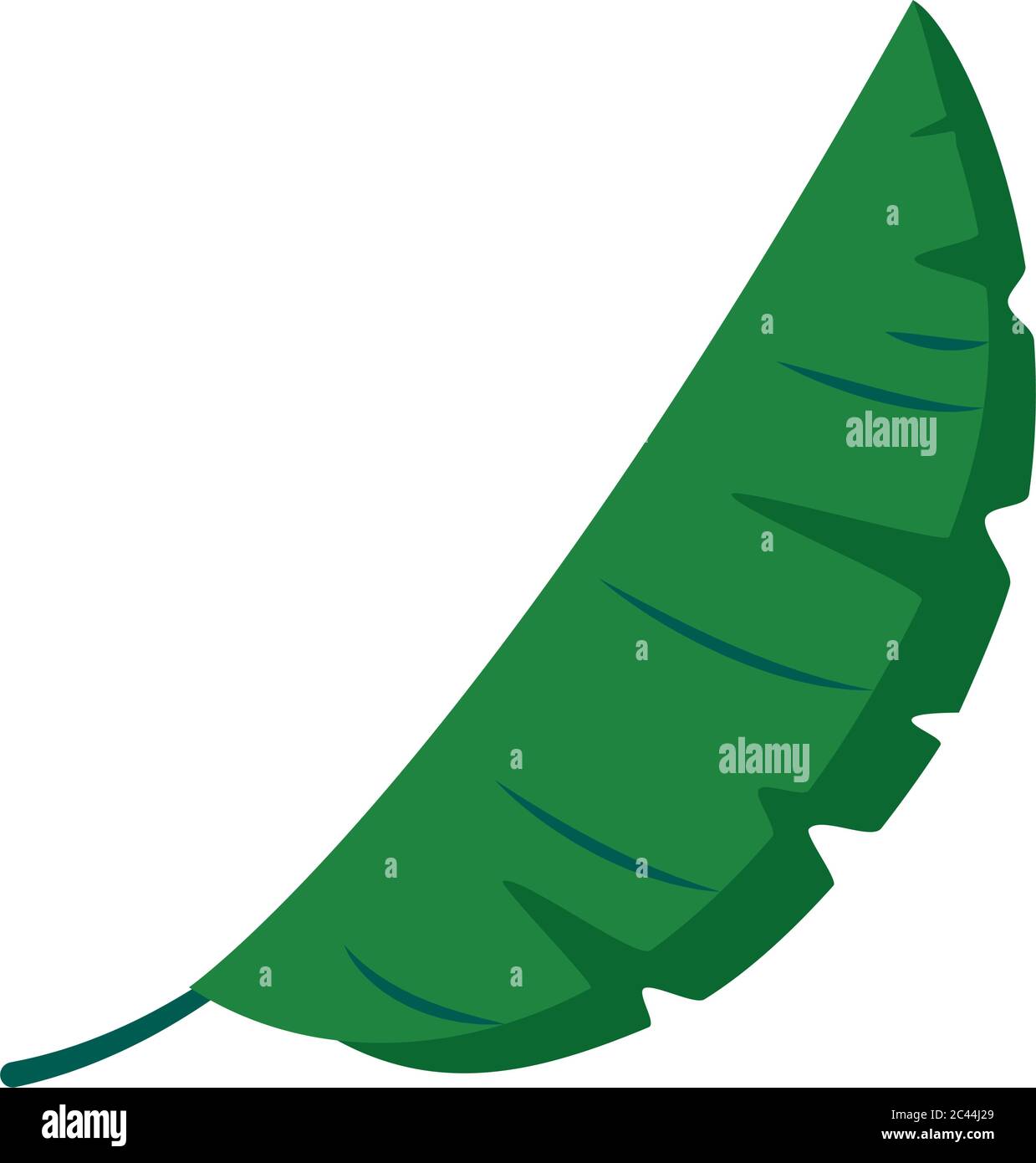 sago leaf icon over white background, flat style, vector illustration ...