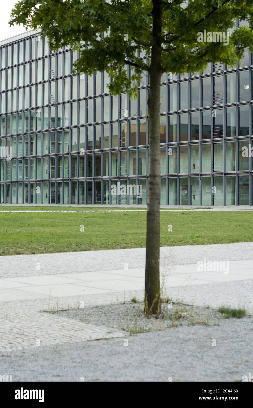 Tree in front of a modern facade, Berlin Stock Photo - Alamy