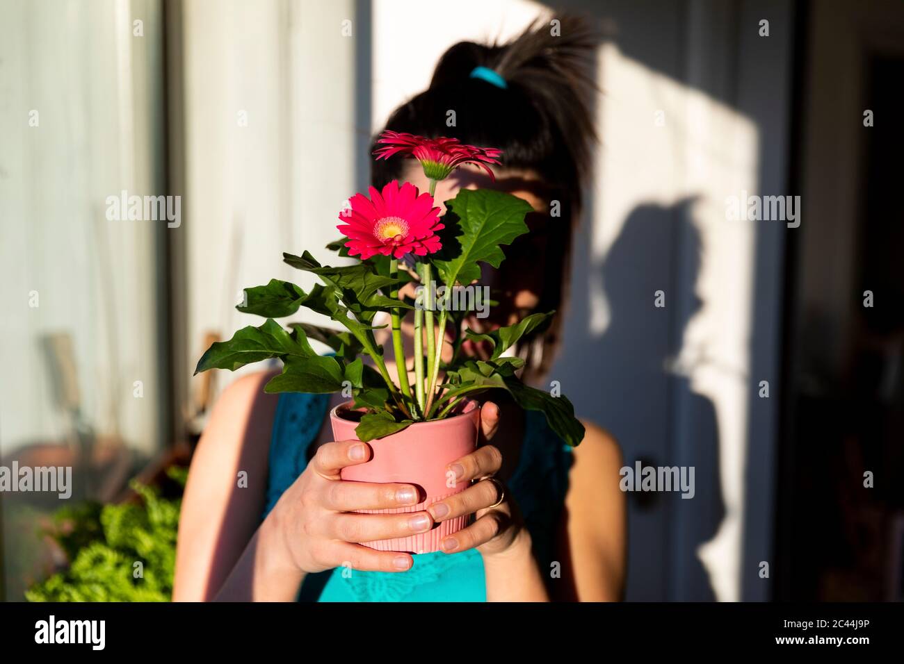 Hiding behind potted flowers hi-res stock photography and images - Alamy