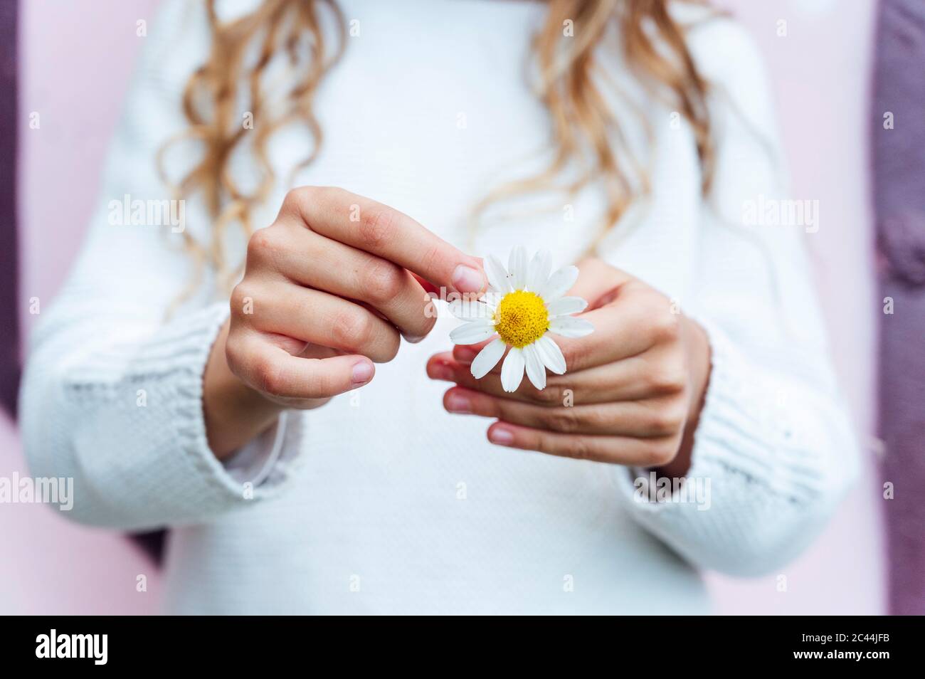 Hand picking up daisy hi-res stock photography and images - Alamy