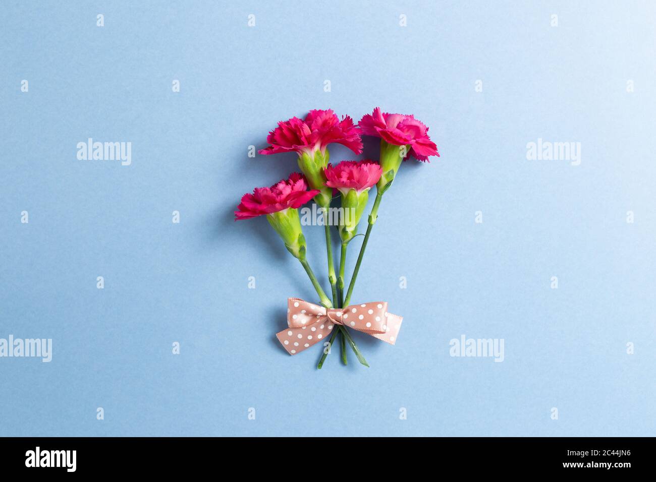 Pink spray carnation flowers bouquet on blue background. Floral ...