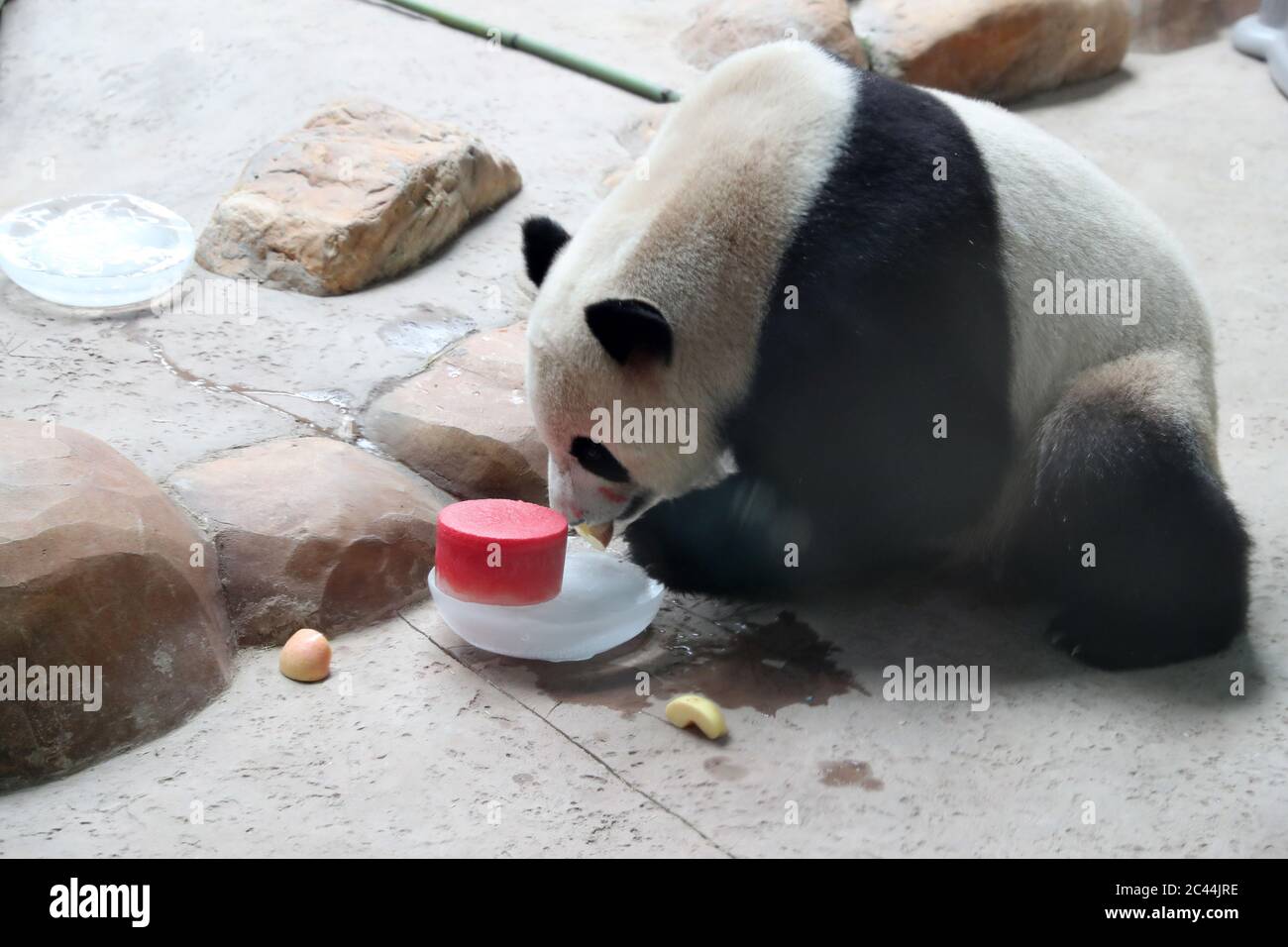 Nantong, Nantong, China. 24th June, 2020. JiangsuÃ¯Â¼Å'CHINA-On June 23 ...