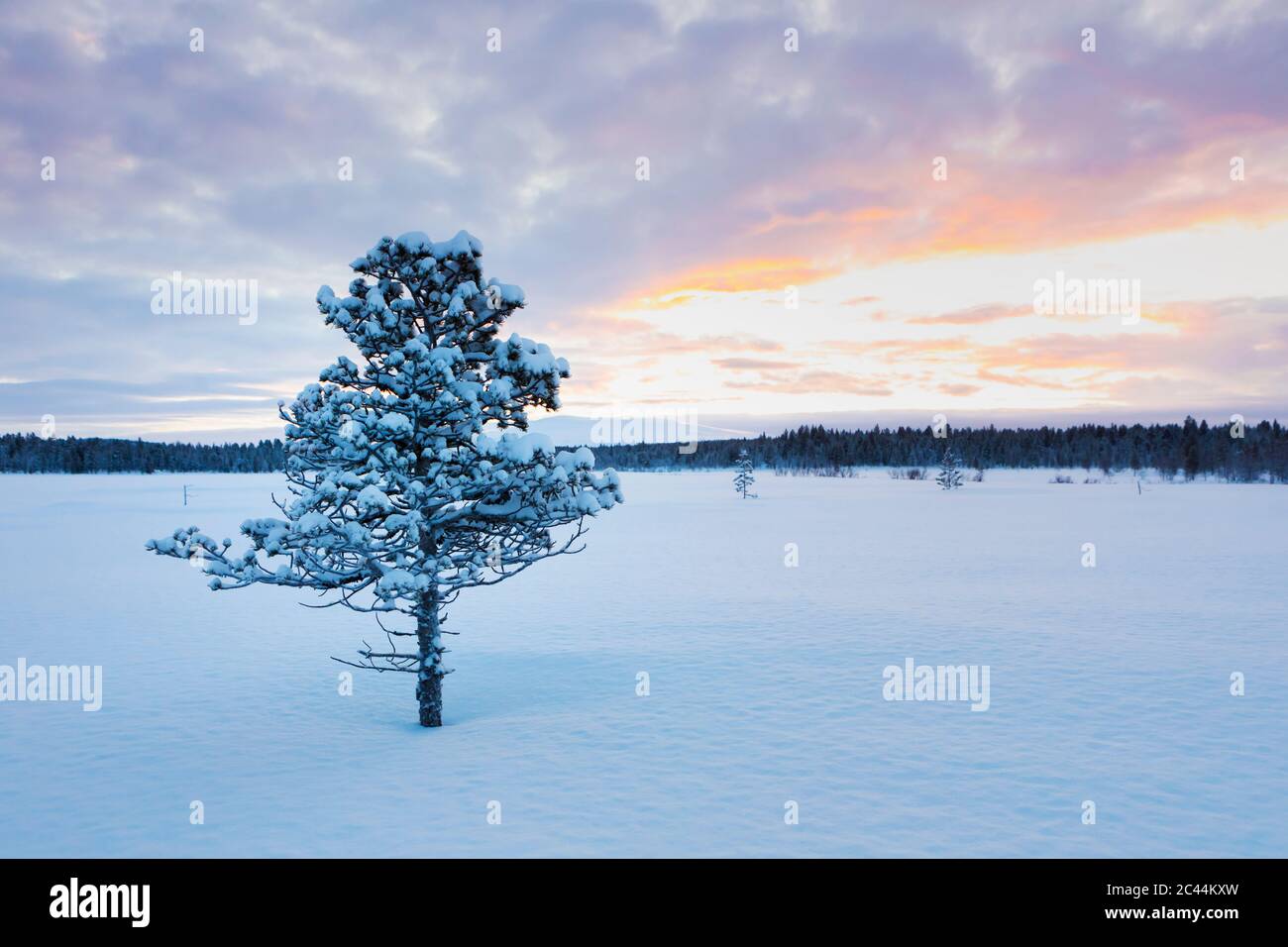 Hetta hi-res stock photography and images - Alamy