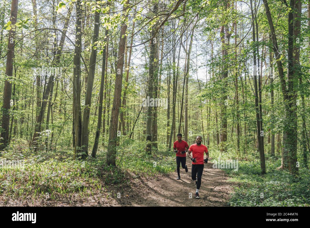 Sportsmen running on forest path Stock Photo - Alamy