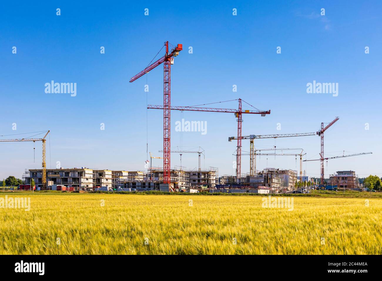 Yellow grassy field construction site background hi-res stock ...
