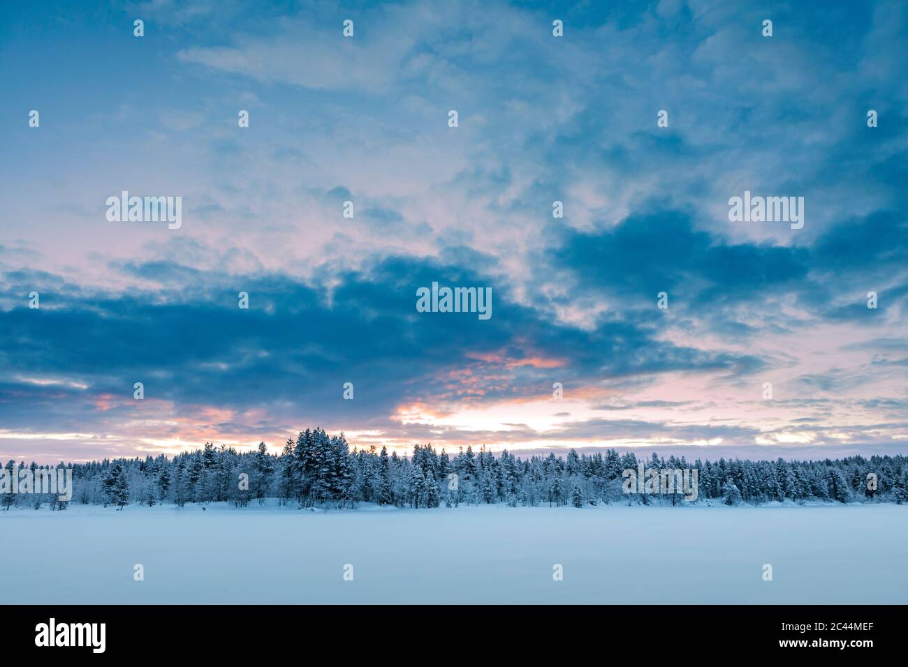 Winter landscape with trees, Hetta, Enontekioe, Finland Stock Photo - Alamy