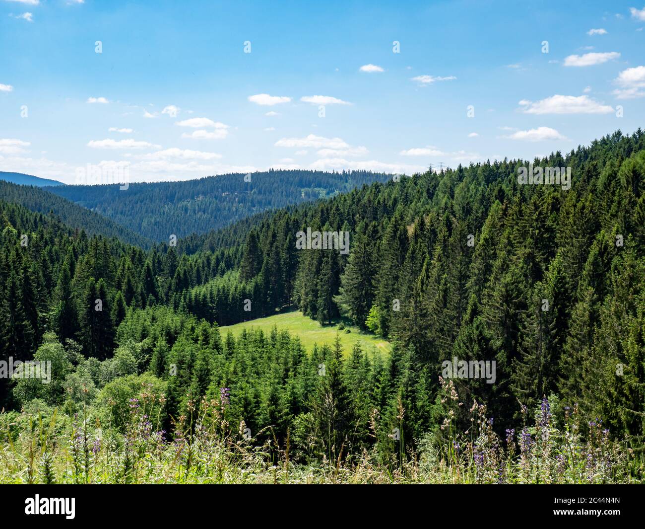 View over the Thuringian Forest in Germany Stock Photo - Alamy