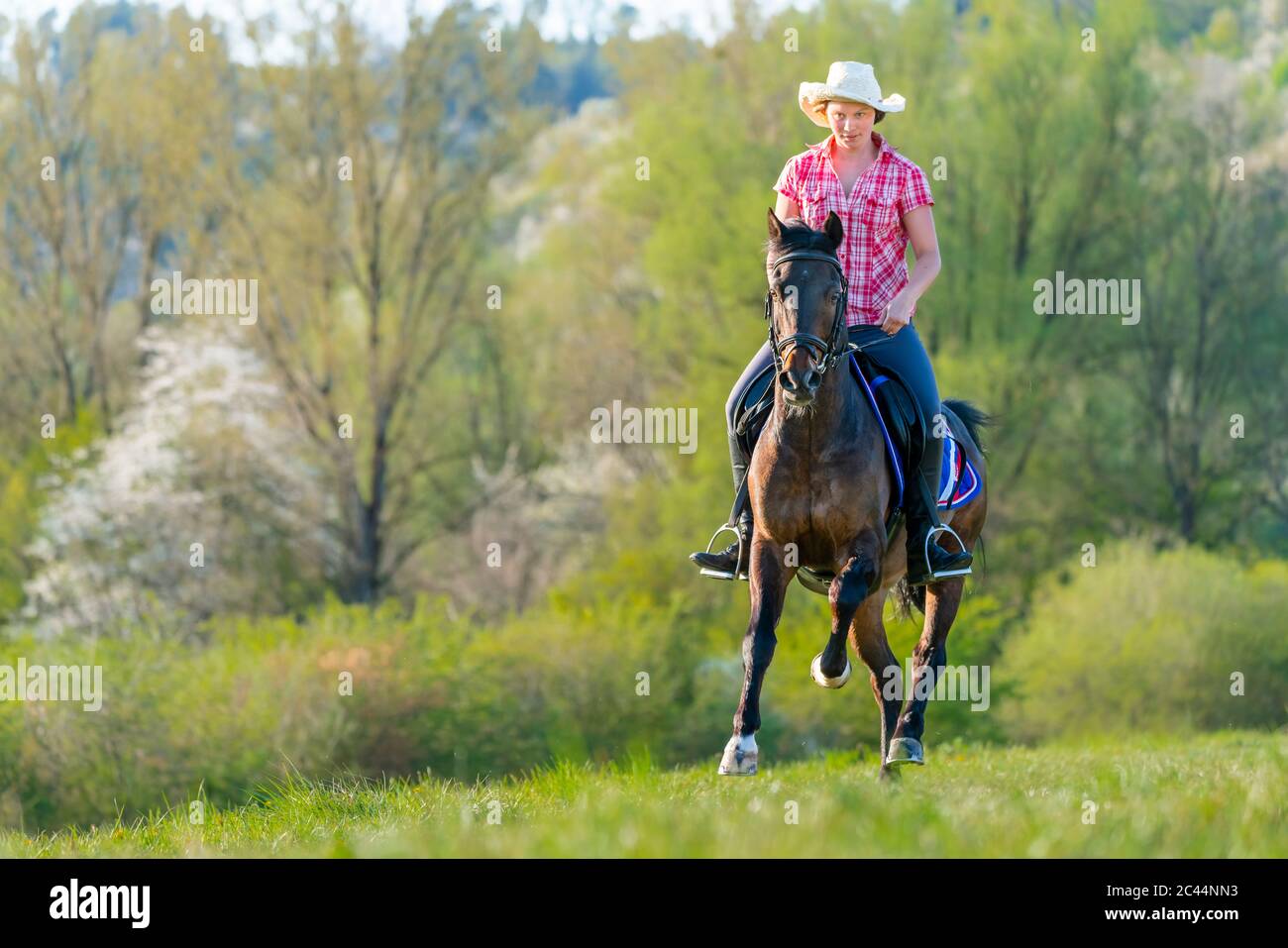 Horse riding grass woman hi-res stock photography and images - Alamy