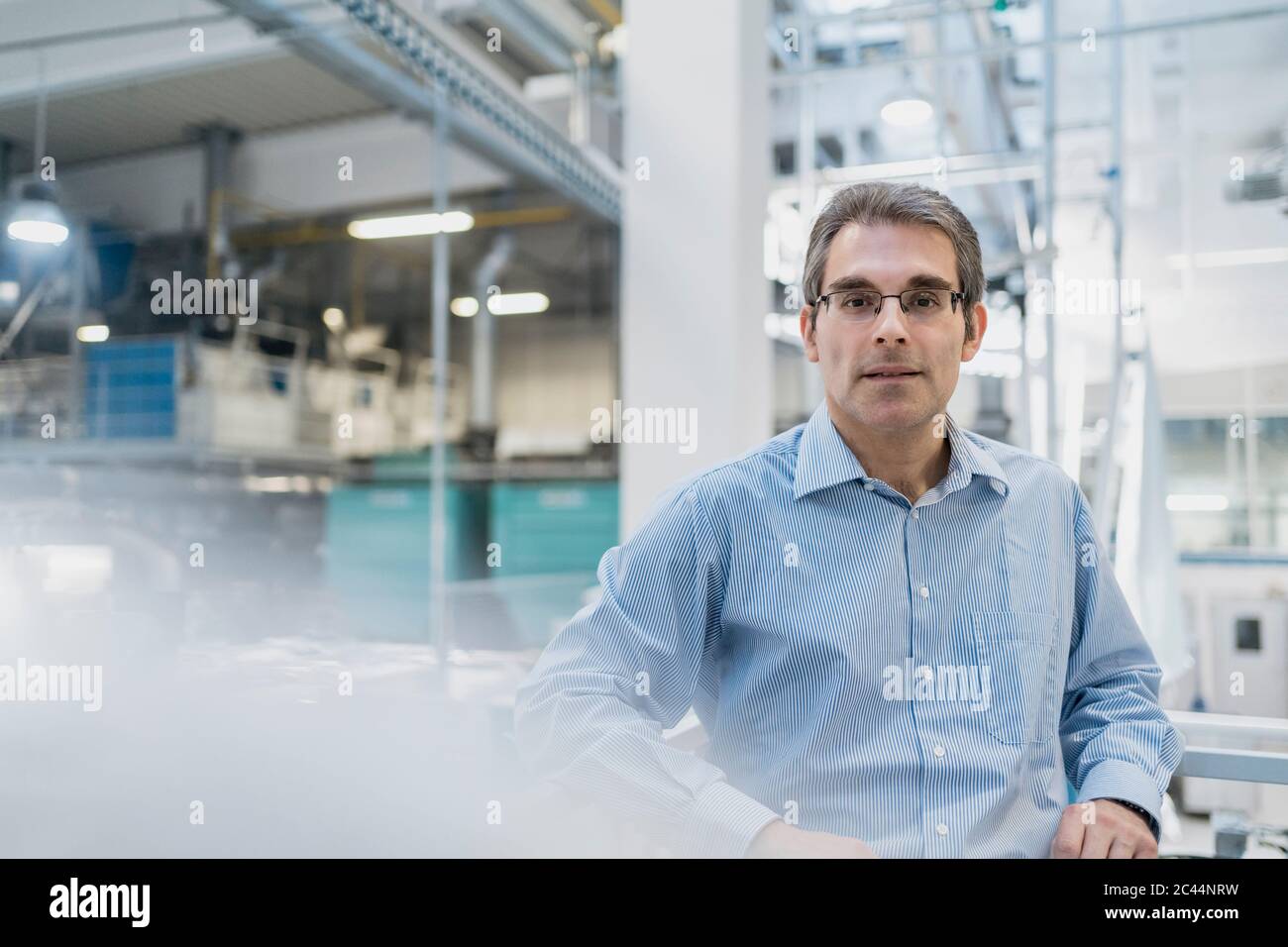 Portrait of a confident mature businessman in a factory Stock Photo - Alamy
