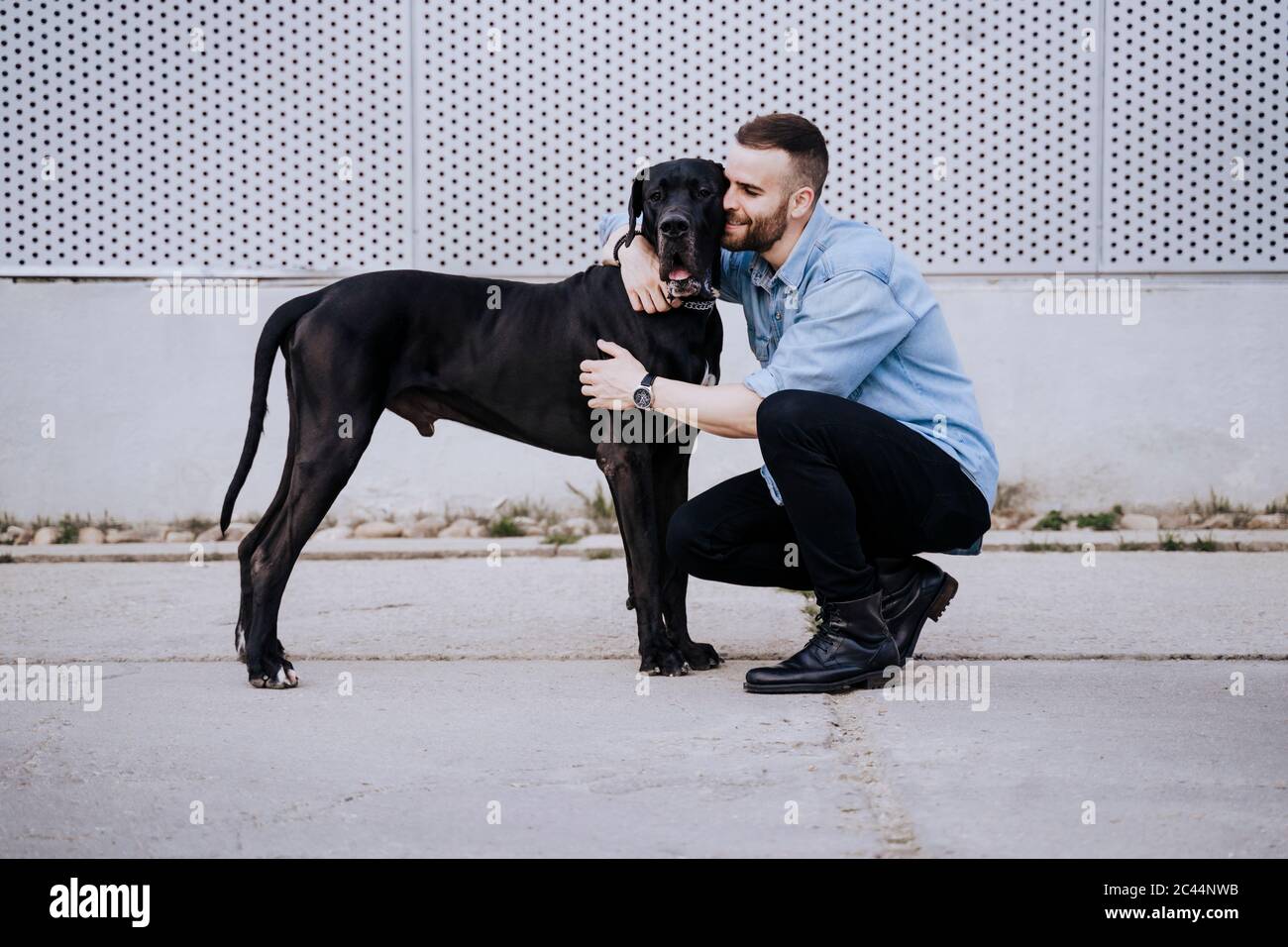 Cuddling dog man hi-res stock photography and images - Alamy