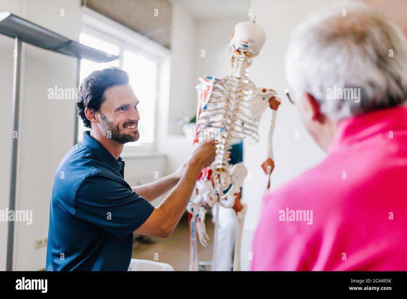 Physiotherapist explaining treatment to patient, using skeleton Stock ...