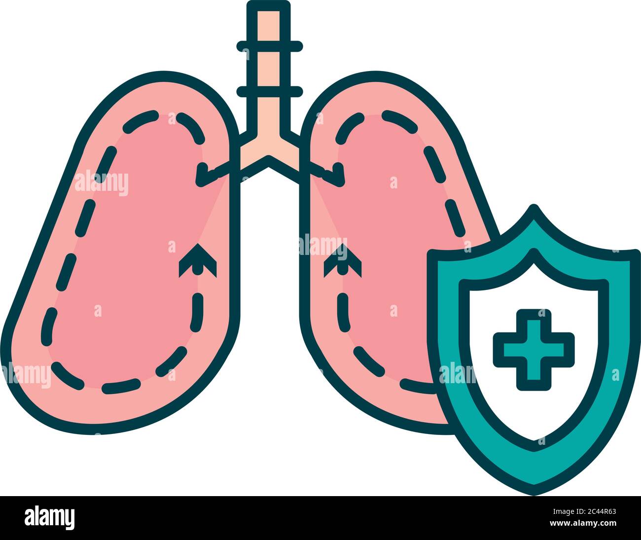 lungs and protection medical shield icon over white background, line ...