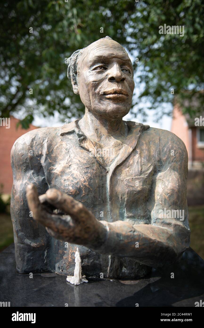 Fagon hi-res stock photography and images - Alamy