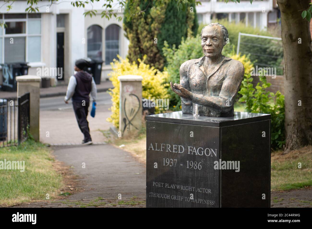 Fagon High Resolution Stock Photography and Images - Alamy