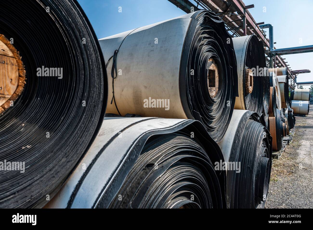 On the yard hi-res stock photography and images - Alamy