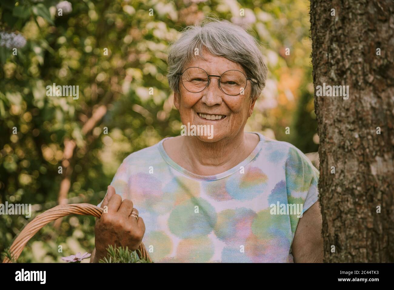 Plus tree hi-res stock photography and images - Alamy