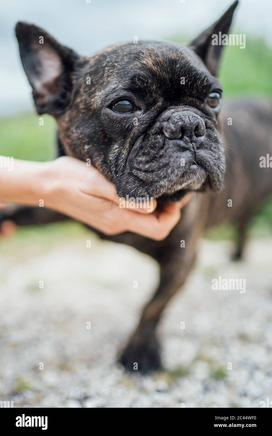 Hand tickling hi-res stock photography and images - Alamy