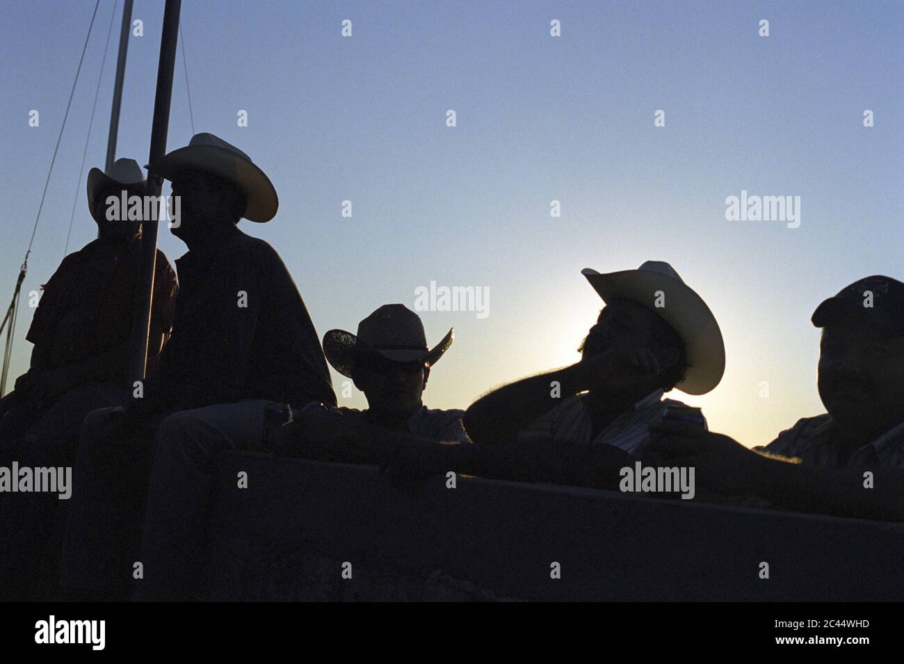 Five men with cowboy hats on a trailer, Mexico Stock Photo - Alamy