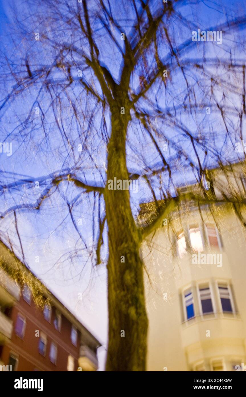 House and tree, out of focus Stock Photo - Alamy