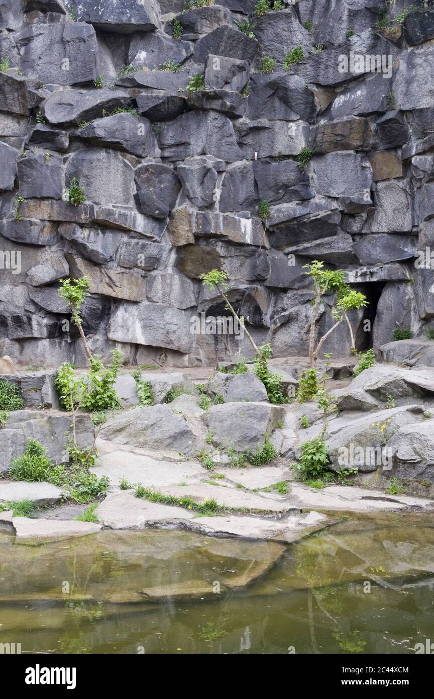 Animal enclosure in the zoo Stock Photo - Alamy