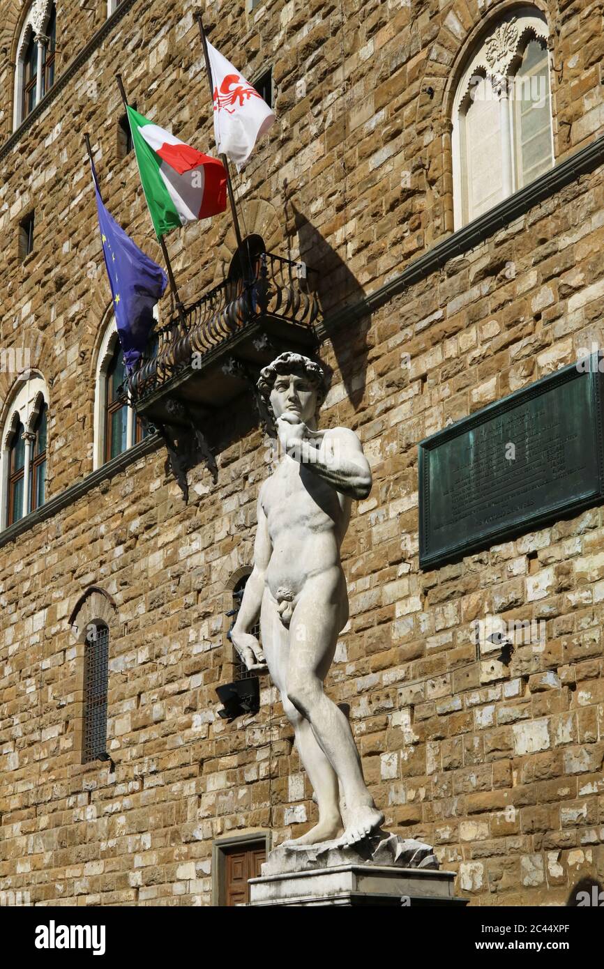 The David of Michelangelo statue in Signoria square, Florence, Italy ...
