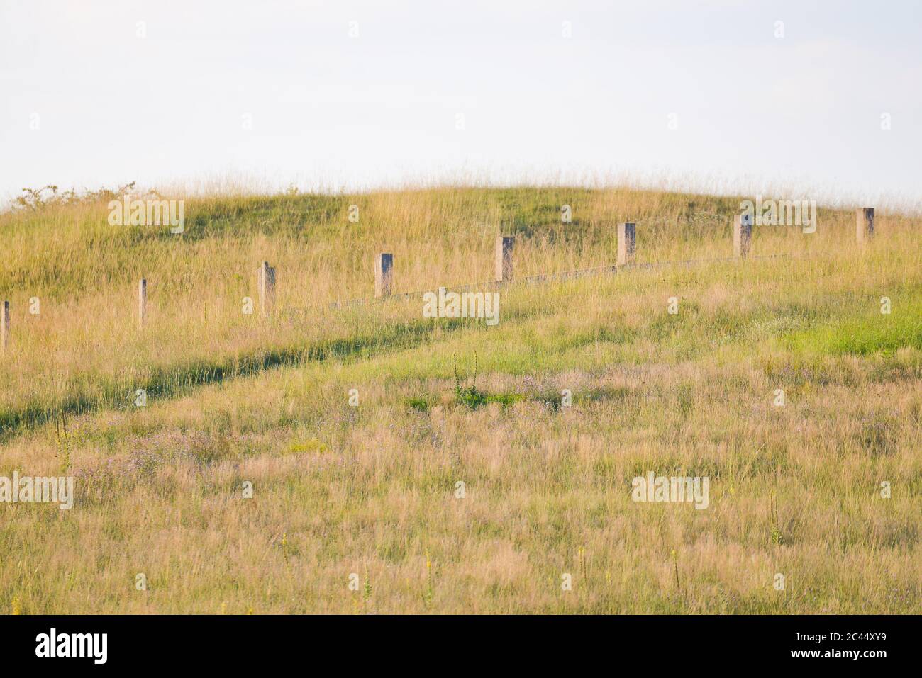 rural country landscape on a summer day Stock Photo - Alamy