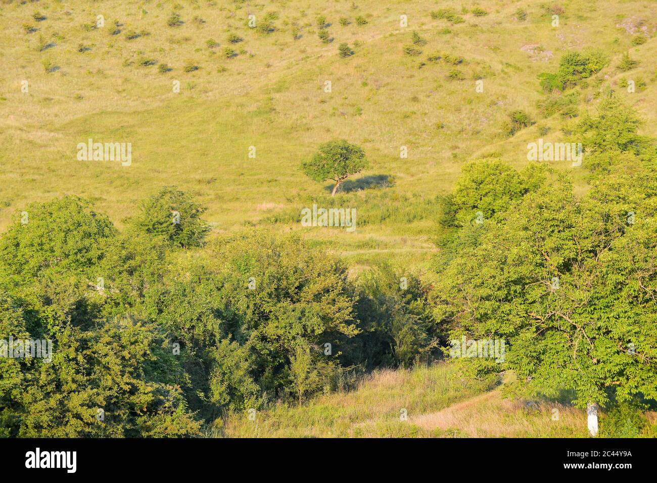 Rural country landscape hi-res stock photography and images - Alamy