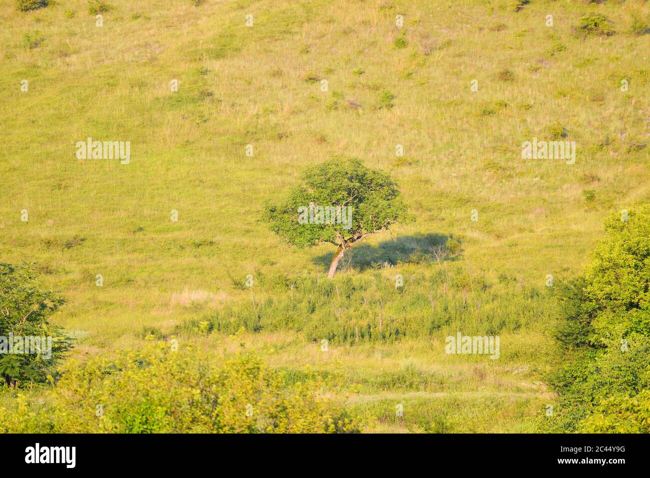 rural country landscape on a summer day Stock Photo - Alamy