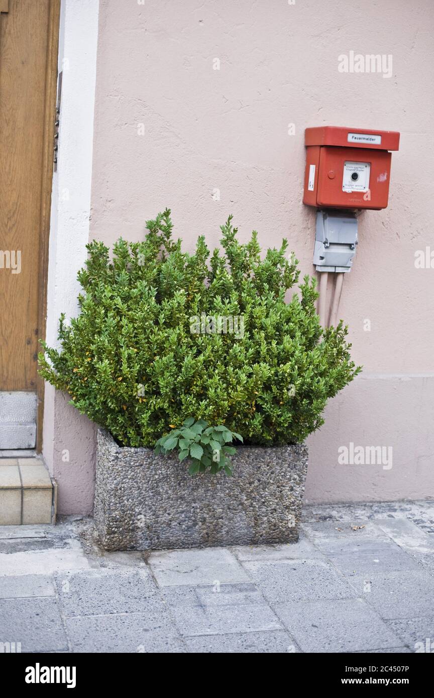 Plant, emergency column and wall Stock Photo - Alamy