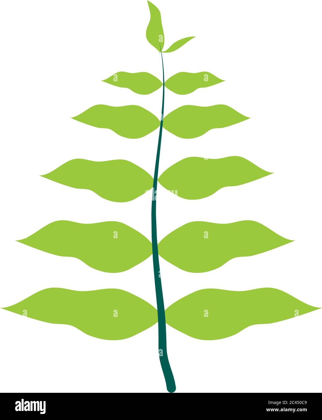 fern frond leaves icon over white background, flat style, vector ...