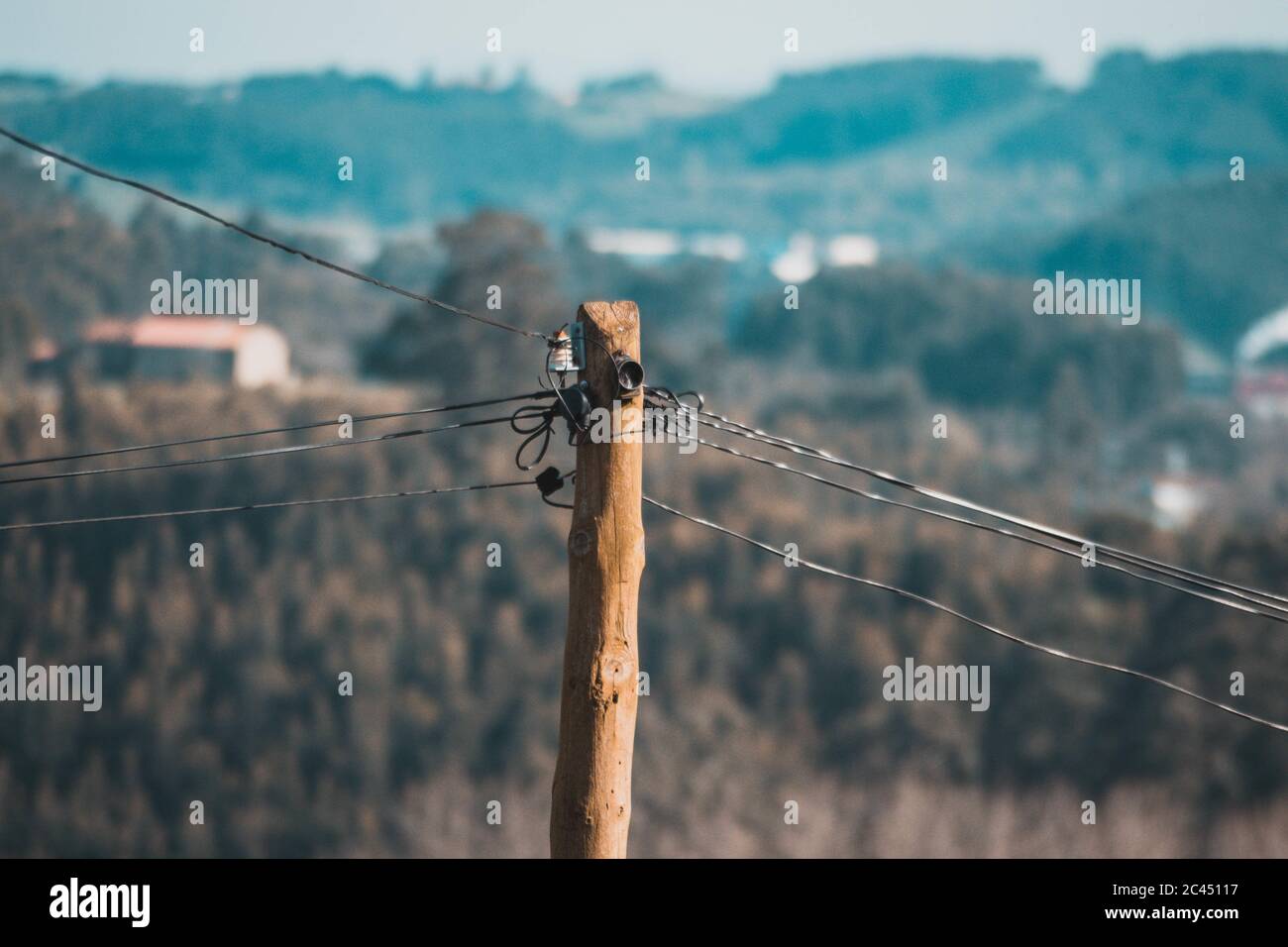 Closeup shot of a wooden power line with trees and hills on the ...
