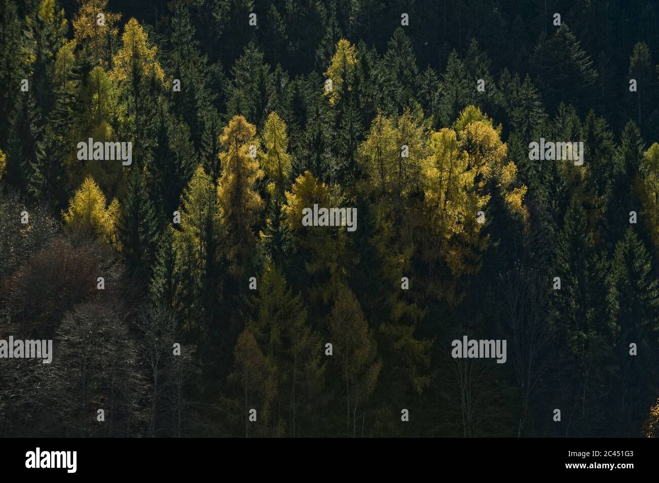 Wald, Bavaria, Germany Stock Photo - Alamy