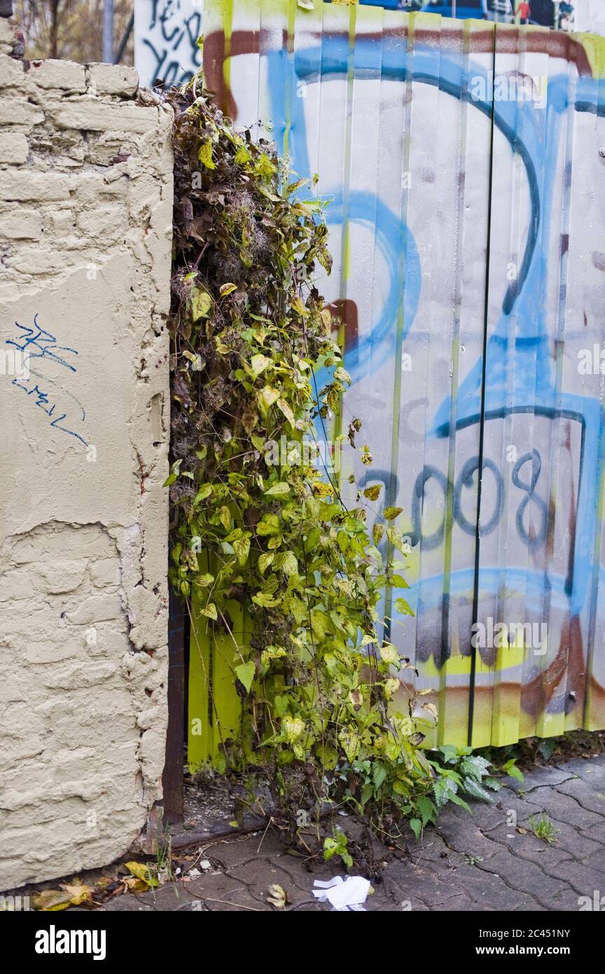 Graffiti on a gate Stock Photo - Alamy