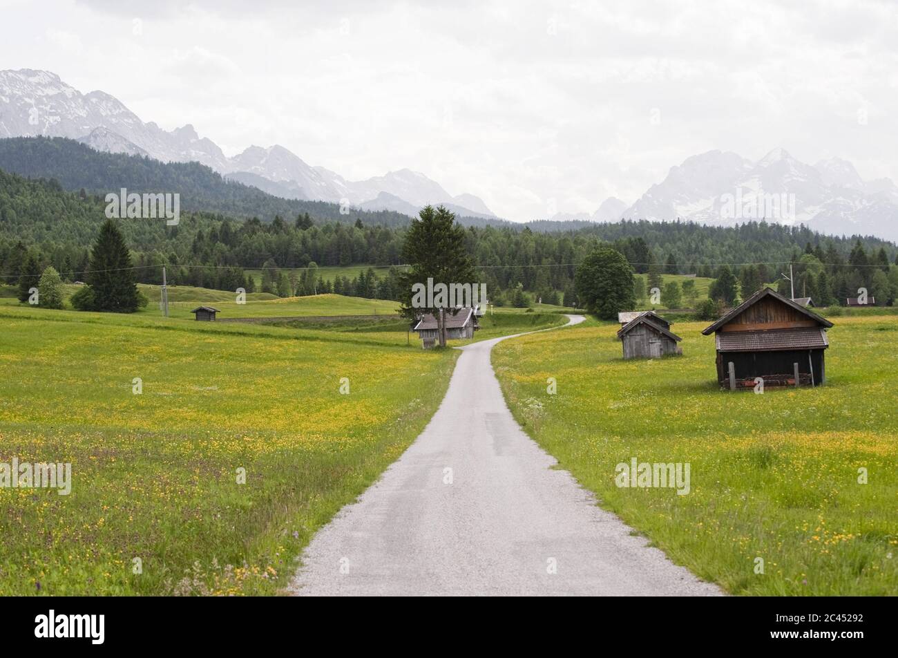 Mountain meadow, Mittenwald, Upper Bavaria, Germany Stock Photo - Alamy