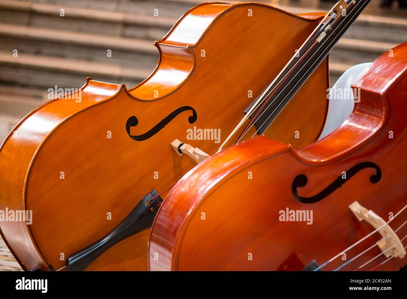 Close-up of two cello. violoncello Stock Photo - Alamy