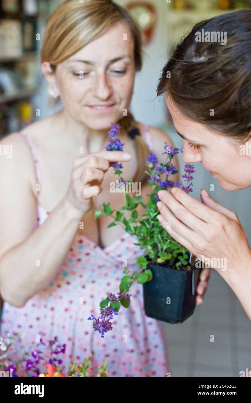 Two women smell a flower Stock Photo - Alamy Two women smell a flower Stock Photo - Alamy