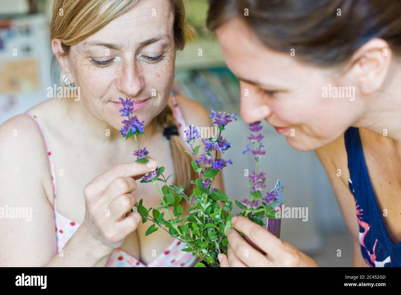 Two women smell a flower Stock Photo - Alamy