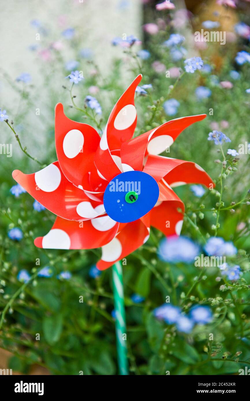 Pinwheel Flowers High Resolution Stock Photography and Images - Alamy