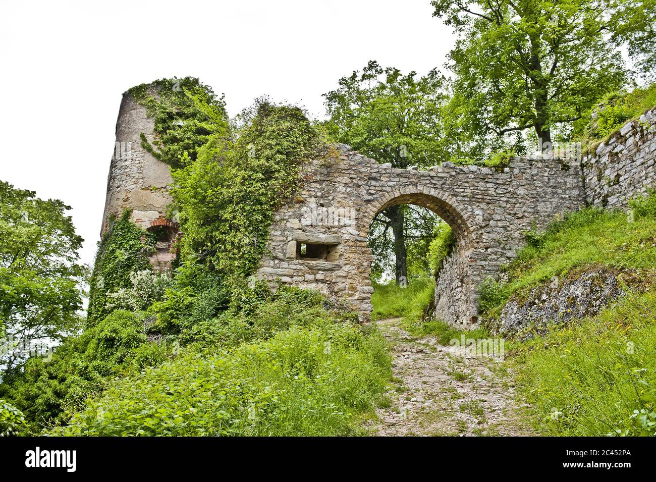 Ferrette hi-res stock photography and images - Alamy