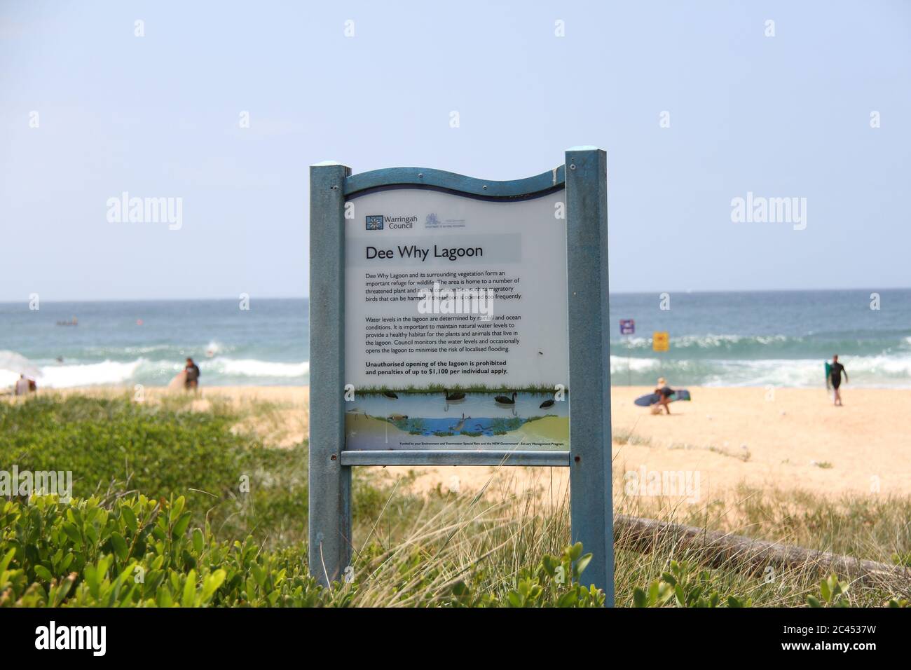Dee why lagoon hi-res stock photography and images - Alamy