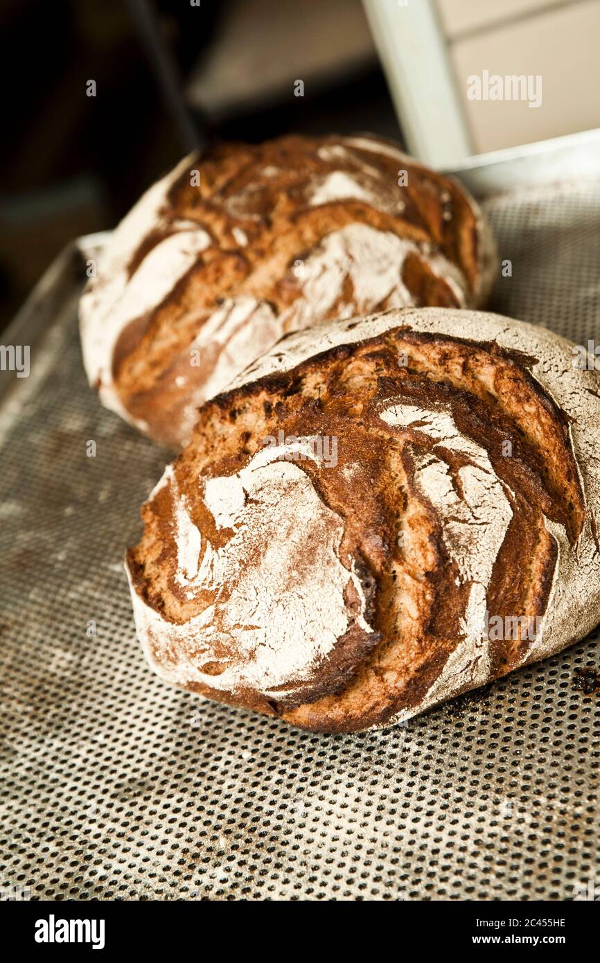 Two loaves of bread in a bakery Stock Photo - Alamy
