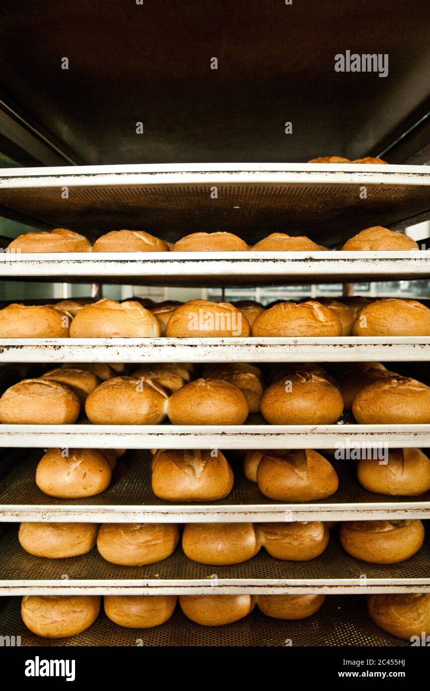 Shelf with bread rolls in a bakery Stock Photo - Alamy