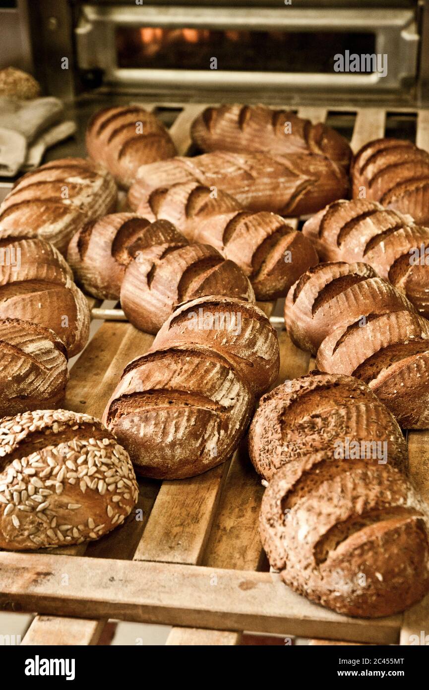 Baked breads in a bakery Stock Photo - Alamy