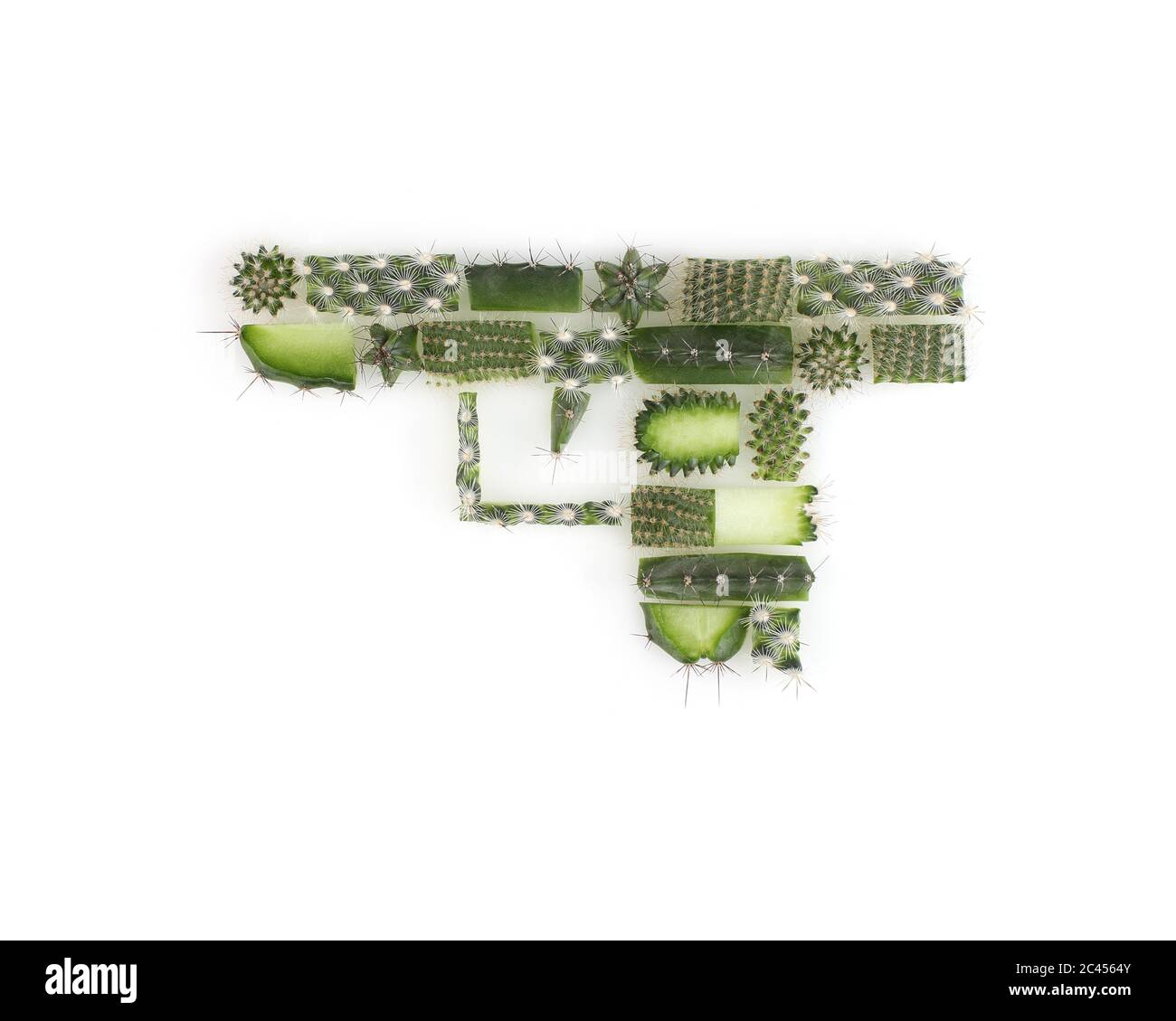 Gun. Flower collage on a white background. Stop violence, peace concept ...